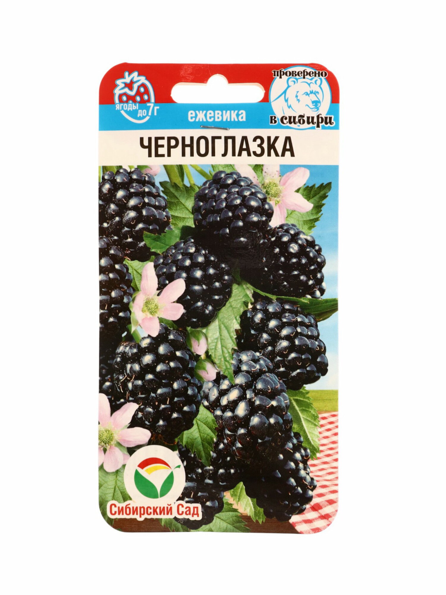 Семена Ежевика садовая "Черноглазка", 10 шт, цвет: чёрный, сроки созревания: среднеранний
