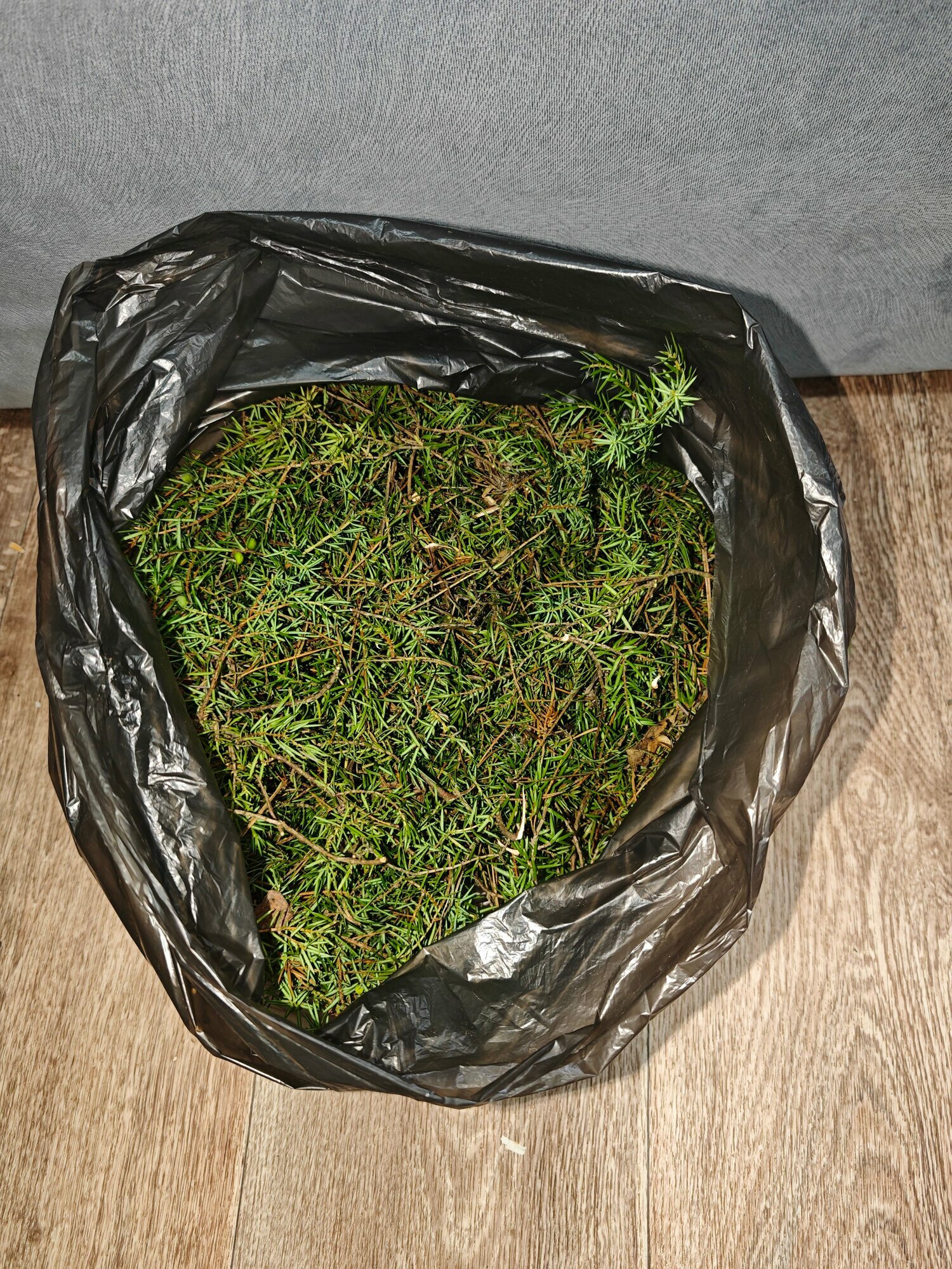 Хвоя можжевельника 300 грамм