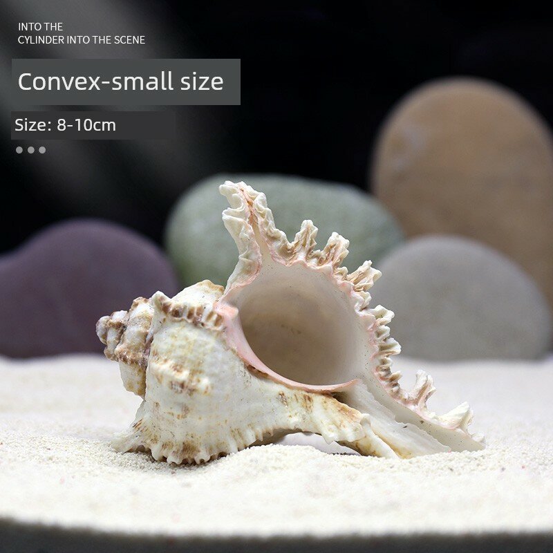 Натуральные раковины для аквариумов, декоративные раковины различных размеров, укрытия для рыб и креветок, места для
