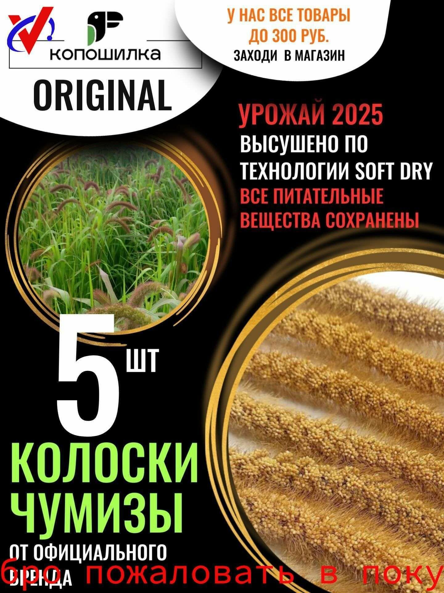 Чумиза для попугаев 5 шт. сенегальское просо лакомство игрушка для птиц и грызунов , урожай 2025 года - копошилка бренд от производителя