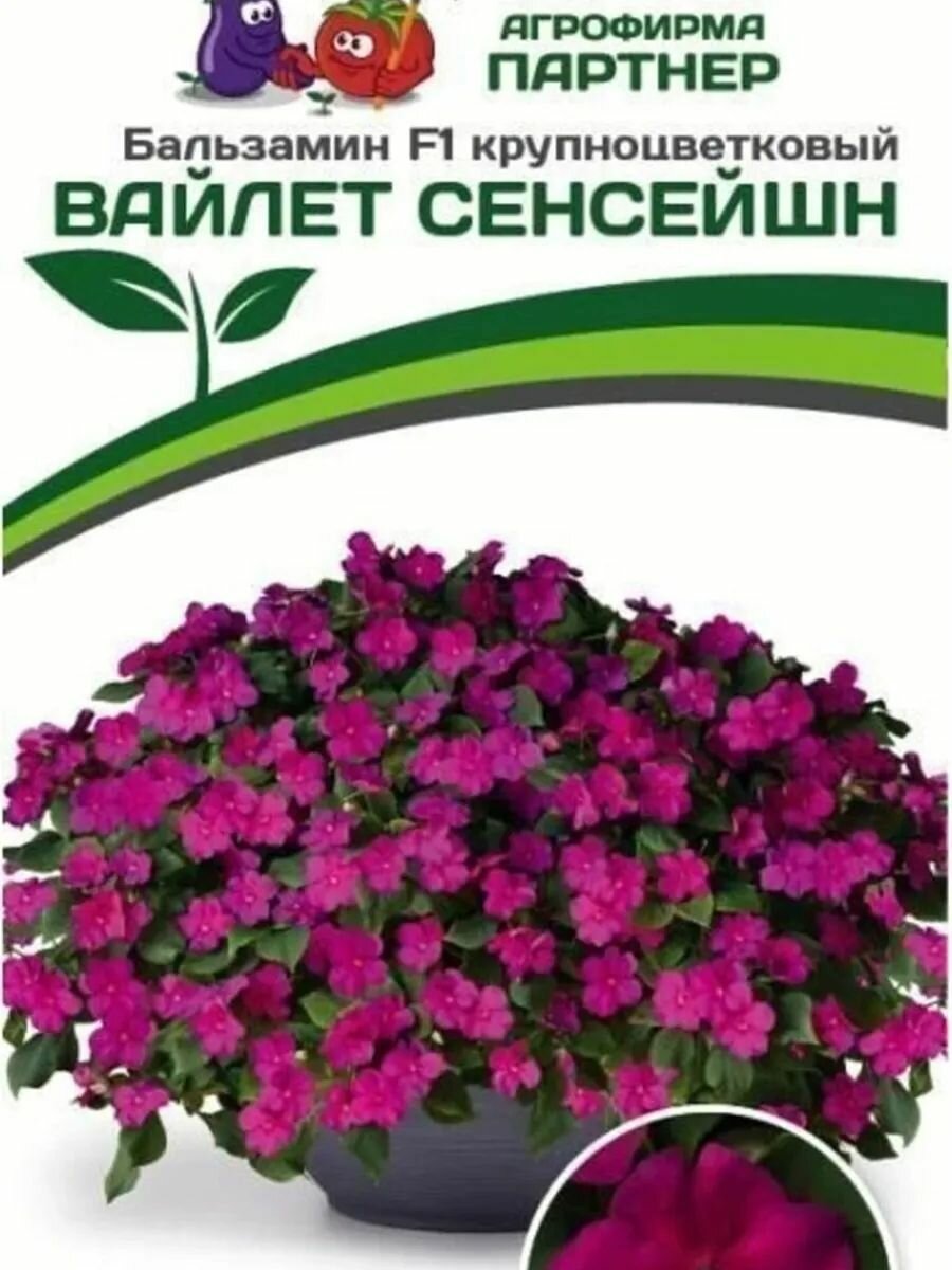 Бальзамин Вайлет Сенсейшн F1 Уоллера крупноцветковый 5 шт. Семена Партнер