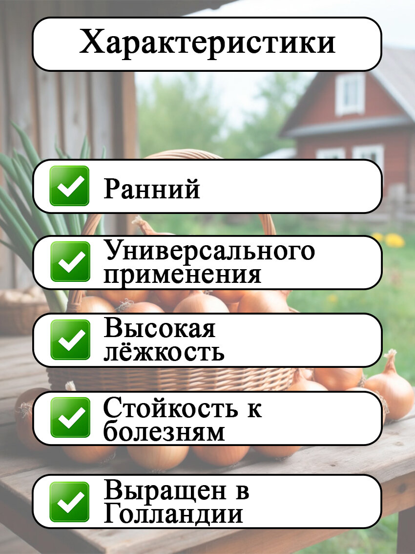 Лук севок Штутгартер Ризен 1 кг Голландия