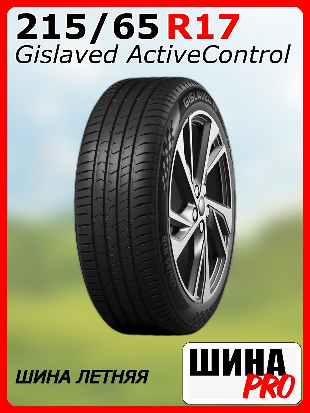 Шина летняя Gislaved 215/65/17 H 99 ActiveControl для легковых автомобилей 16100120270