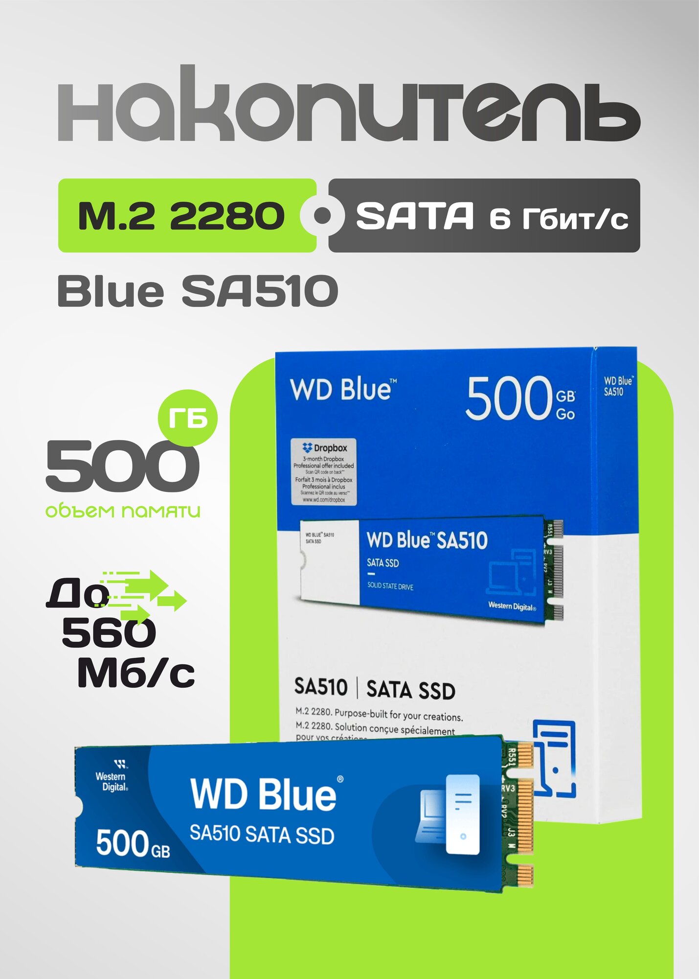 Western Digital Blue SA510 /внутренний SSD, 500 Gb M.2 2280, B&M Key, SATA 6 Гбит/с (не NVME)/