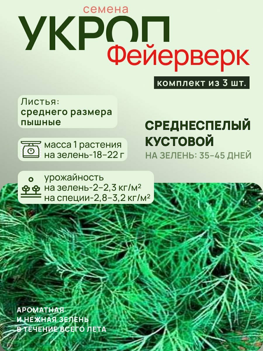 Семена укропа сорт "Фейерверк", высокоурожайный, кустовой, 3 пакета