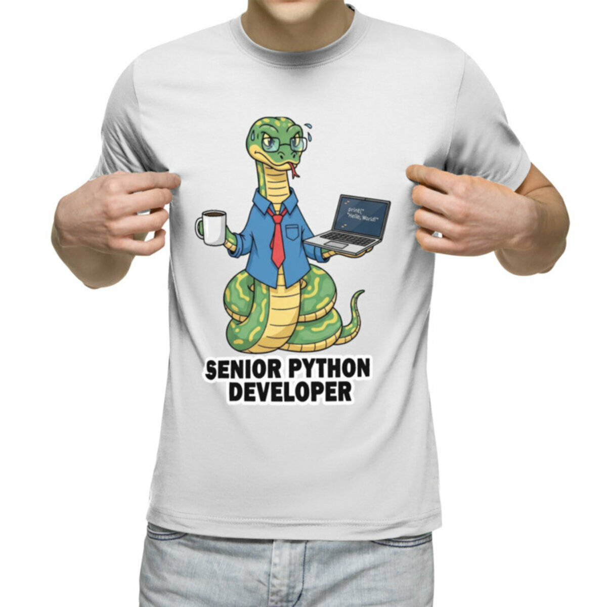 Мужская футболка «Senior Python Developer. Питон программист» (белый, 3XL)