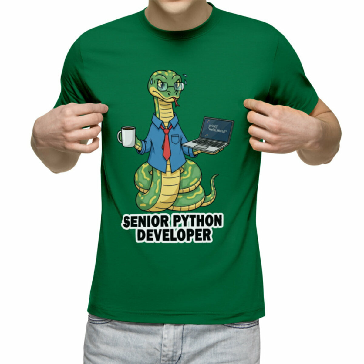 Мужская футболка «Senior Python Developer. Питон программист» (зеленый, M)