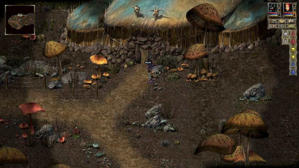 Beyond Divinity GOG Ключ • Активация GOG • регион Весь мир • цифровой ключ