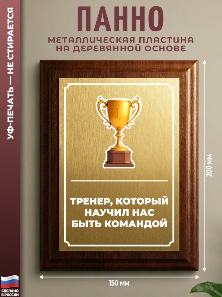 Настенный диплом "Тренер, который научил нас быть командой"