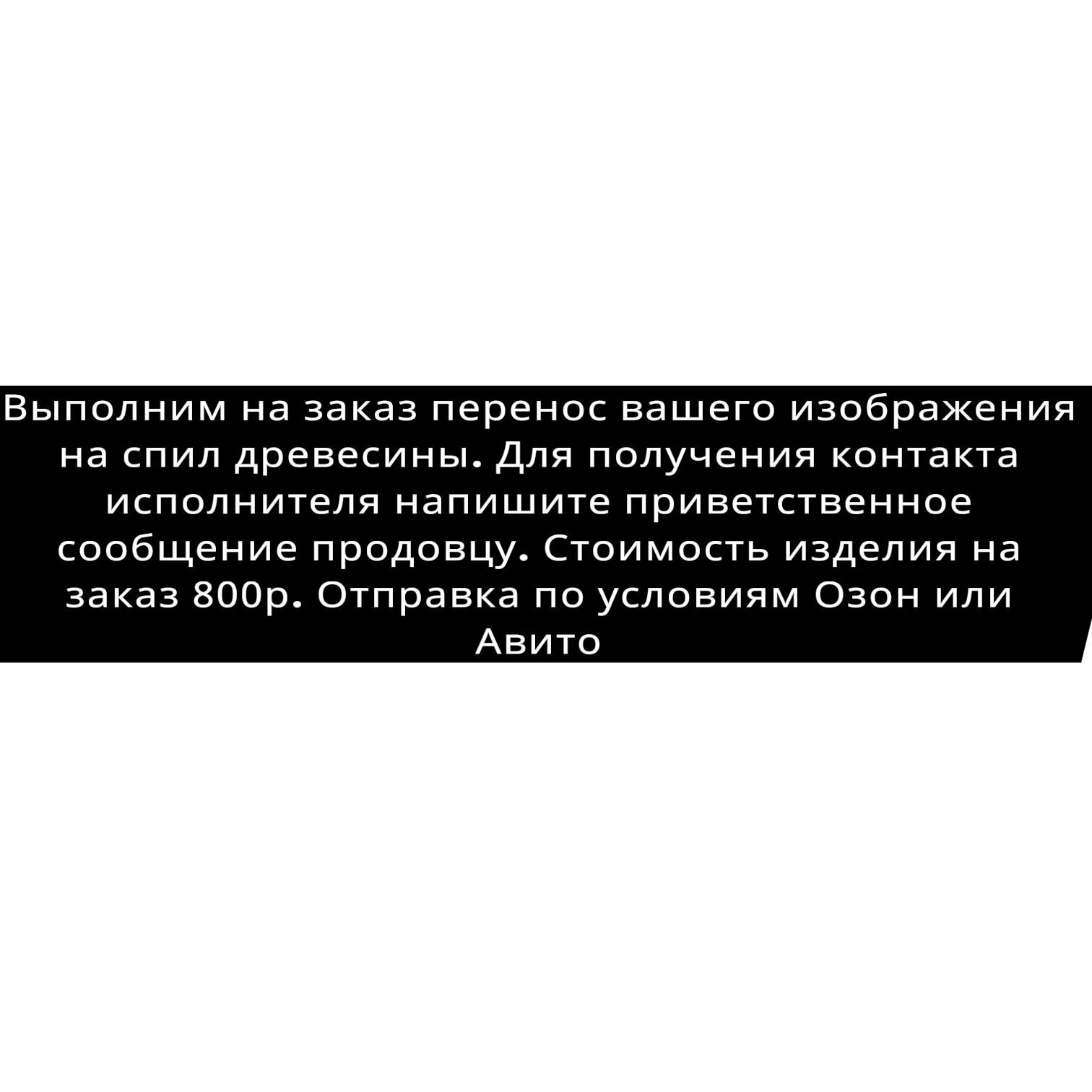 Спил ивы иллюстрированный. Размер 115х60мм. — фото 1