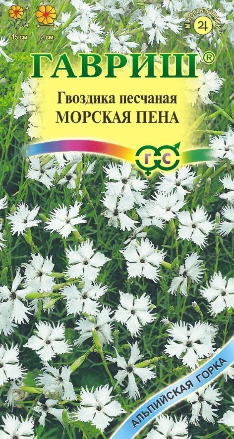 Семена Гвоздика песчаная Морская пена (0,05 г), Агрофиирма Гавриш