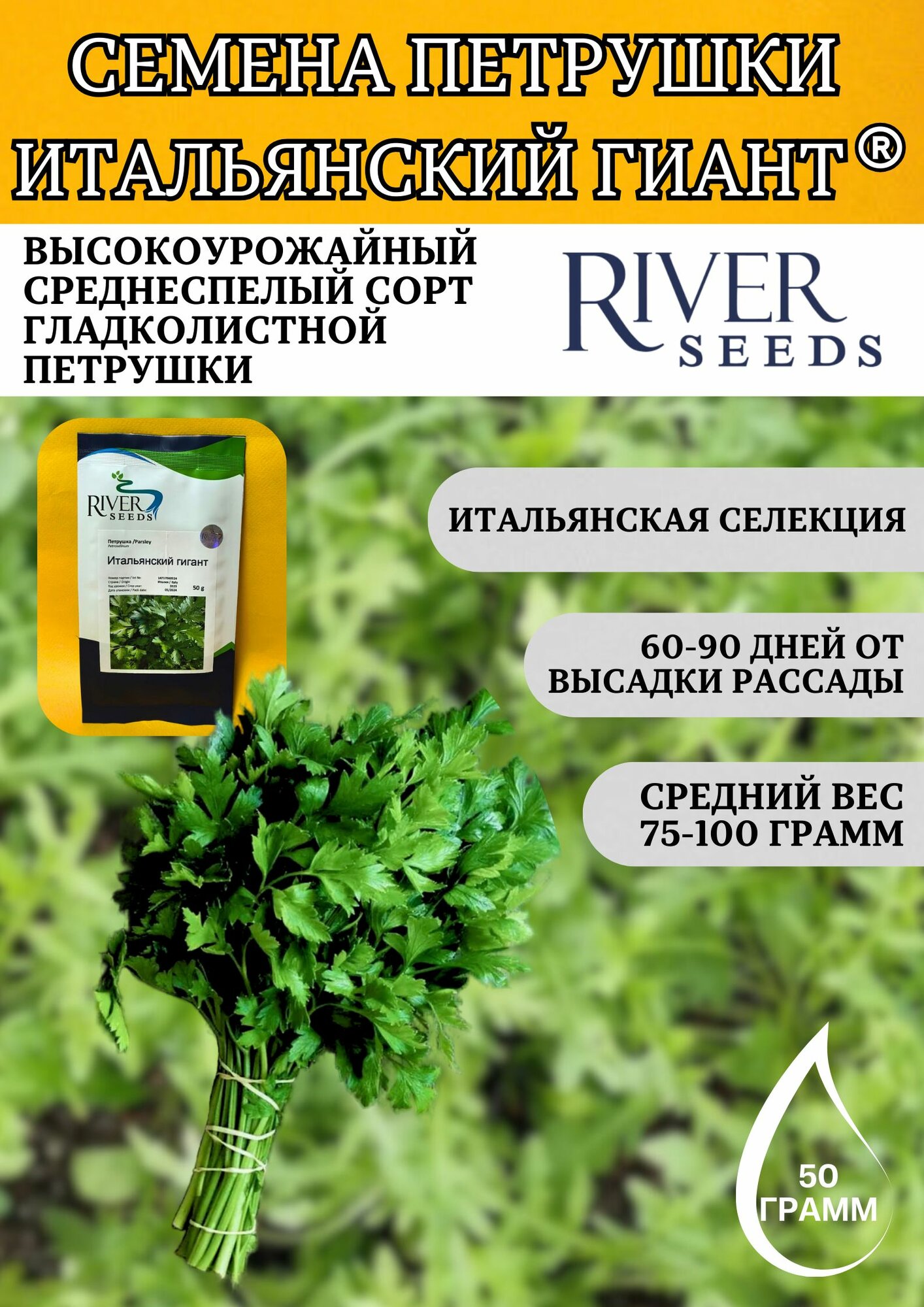 Семена петрушки Итальянский Гигант 50 грамм, профессиональные семена