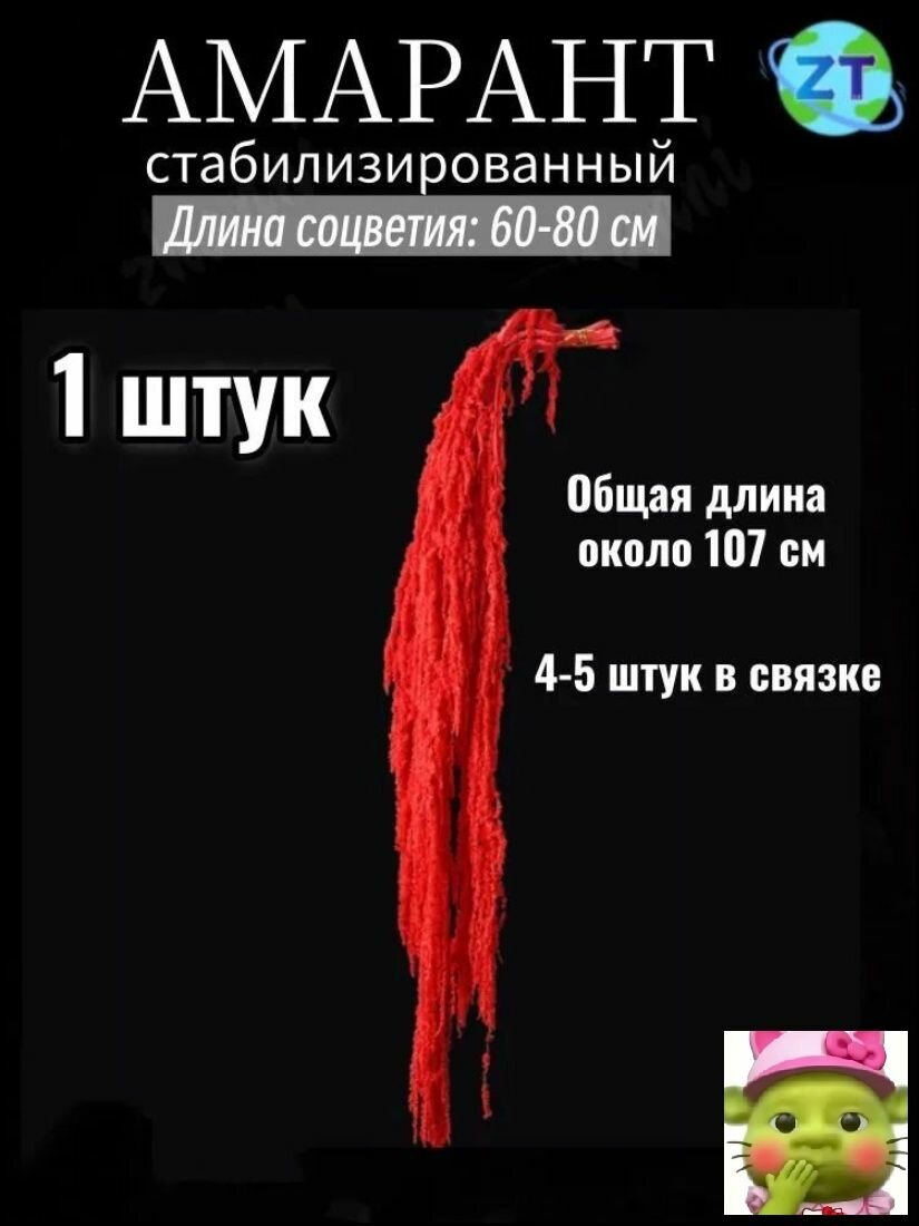 Стабилизированные цветы Амарант, 80 см, 1 шт
