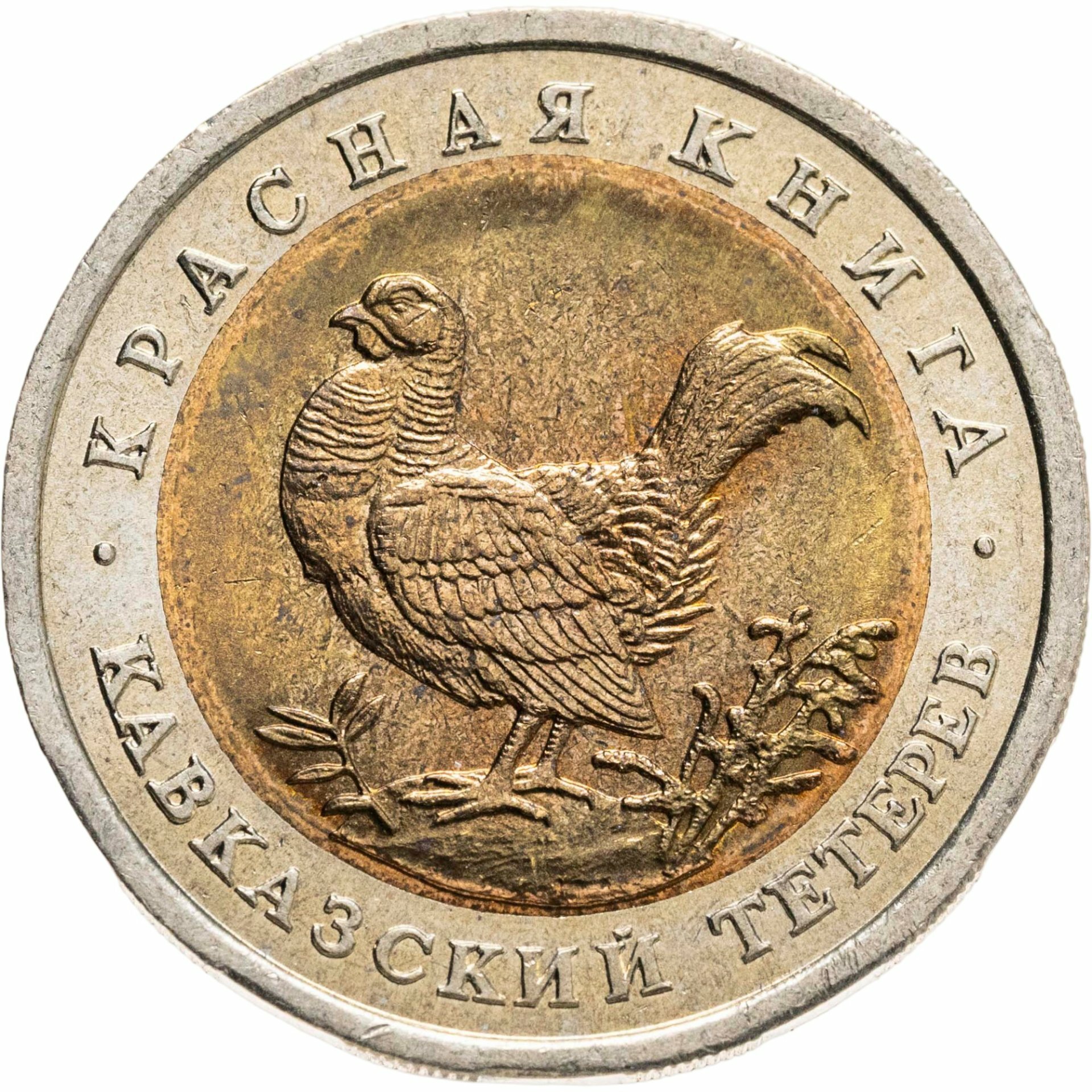 50 рублей 1993 ЛМД "Кавказский Тетерев - Красная Книга", Биметалл, в сохранности AU-UNC