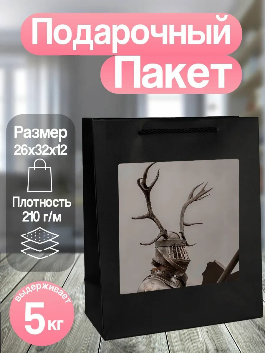 Пакет подарочный Рыцарь семи королевств, упаковка для подарка, 26х31 см