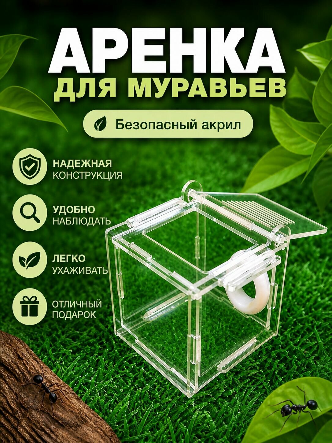 Инкубатор для муравьев мини арена для крупных муравьев
