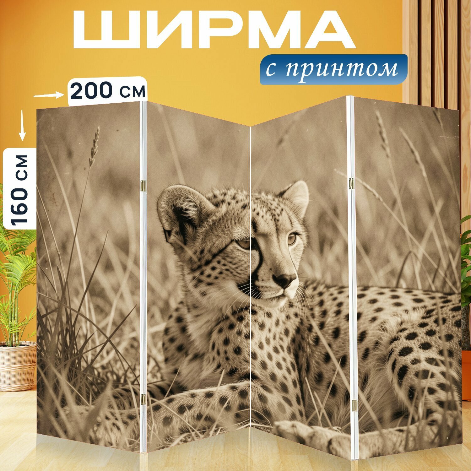 Ширма "Гепард в высокой траве. Грациозный пятнистый хищник лежит среди сухих злаков, сепия, мягкий природный." перегородка для зонирования комнаты с принтом 200x160 см. на холсте