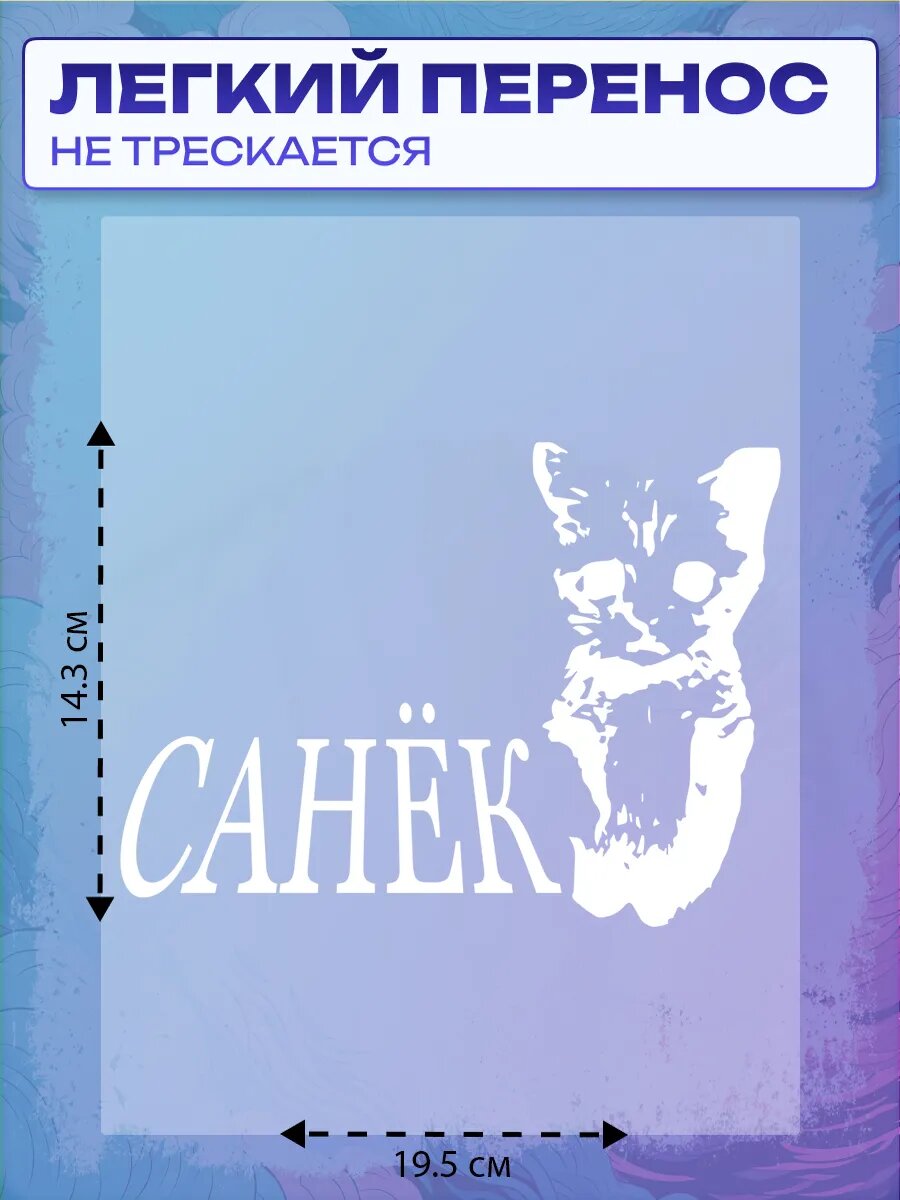Термонаклейка Санек — фото 1