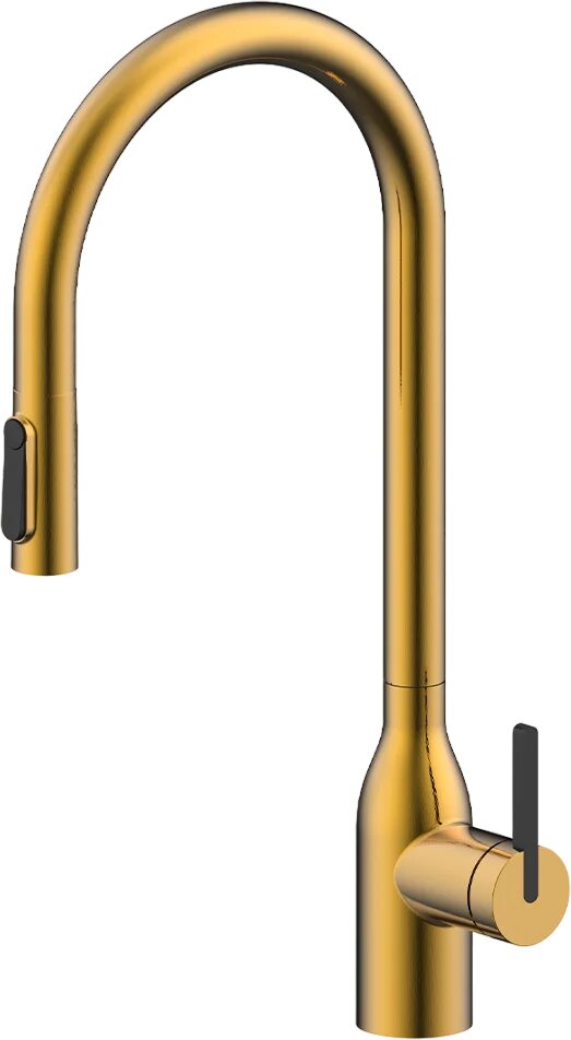 Смеситель для кухни Paulmark Universal Un213880-BG с краном для питьевой воды, с поворотным изливом, золотой, матовый, однорычажный, с керамическим картриджем