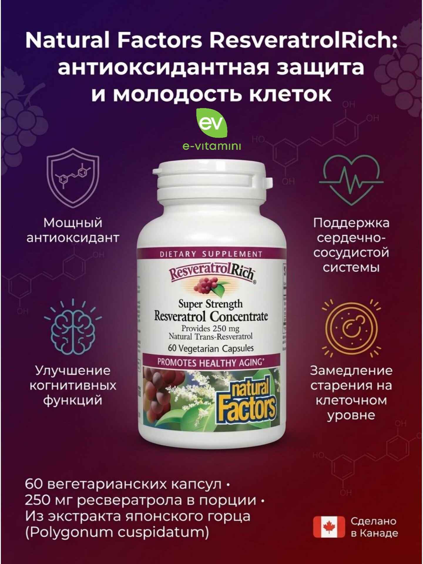 Natural Factors, ResveratrolRich, концентрат ресвератрола, суперсила, 60 вегетарианских капсул