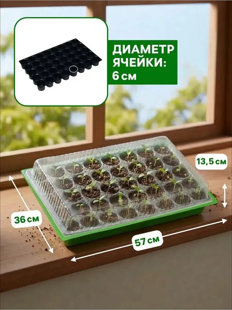 Компактный мини-парник для рассады