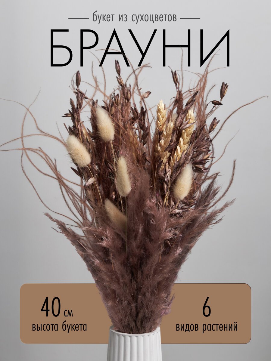 Сухоцвет букет для декора и интерьера натуральный сухой, коричневый