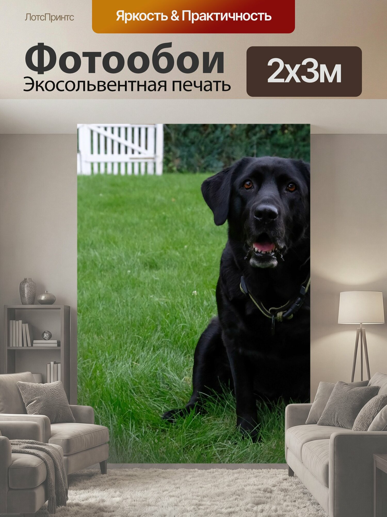 Фотообои "Собака, лабрадор, чернить" 200x300 см. экосольвентная печать
