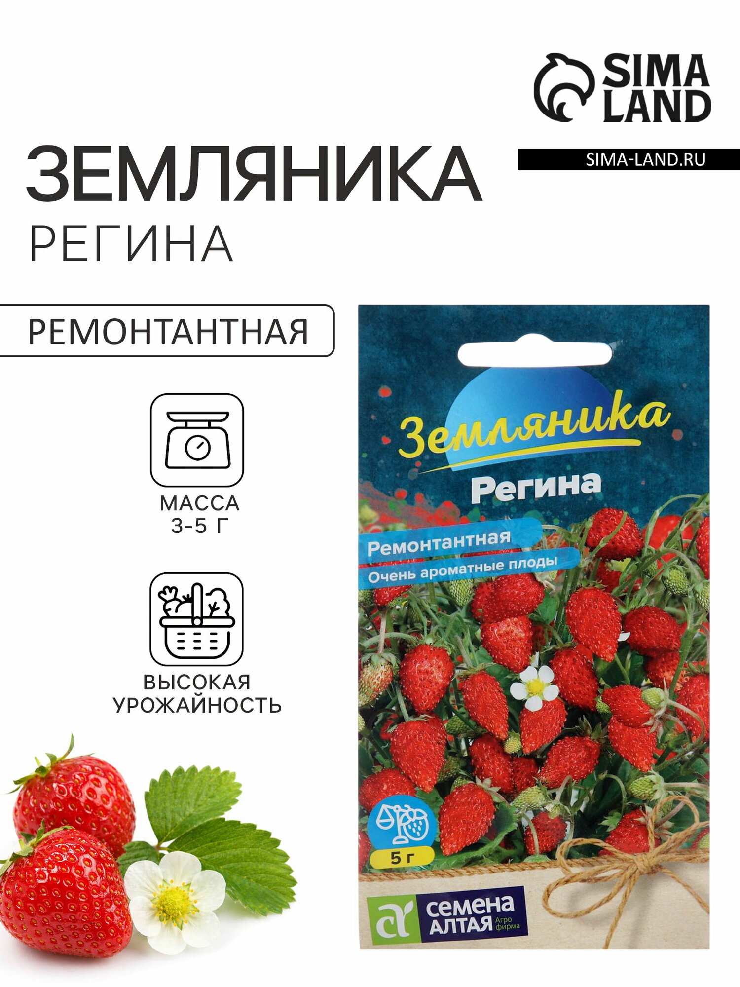 Семена Земляника "Регина", ремонтантная, 0.03 г, урожай: август - сентябрь