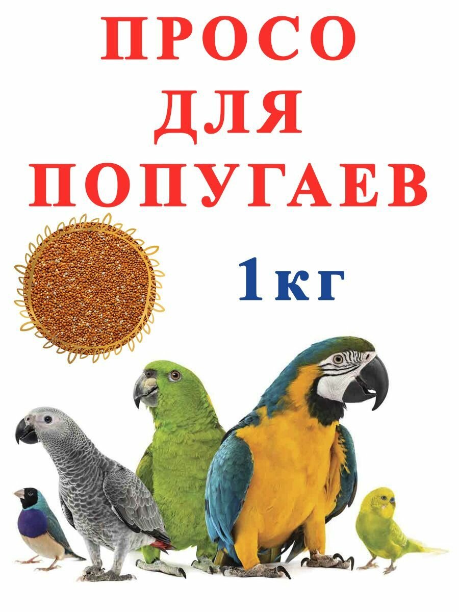 Просо для попугаев красное