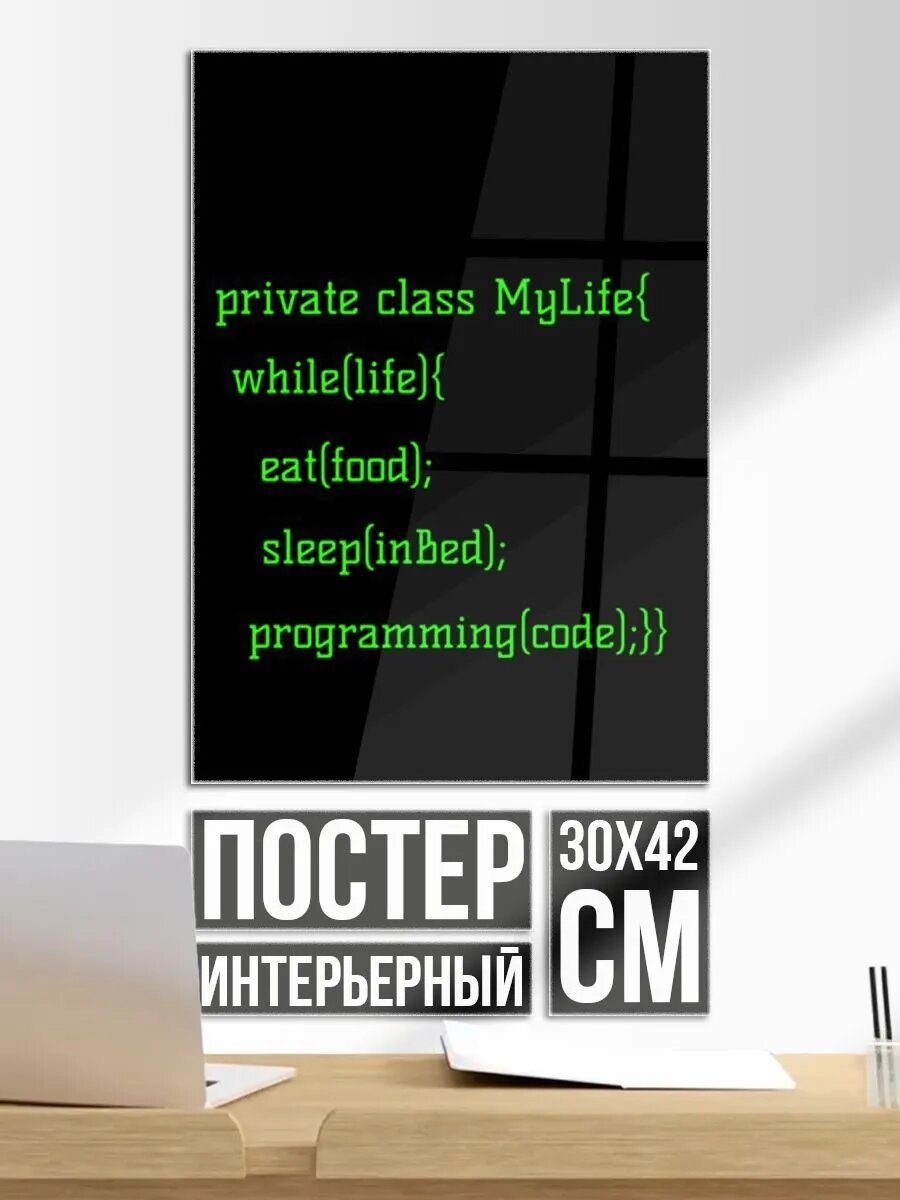 Постер на стену Жизнь программиста