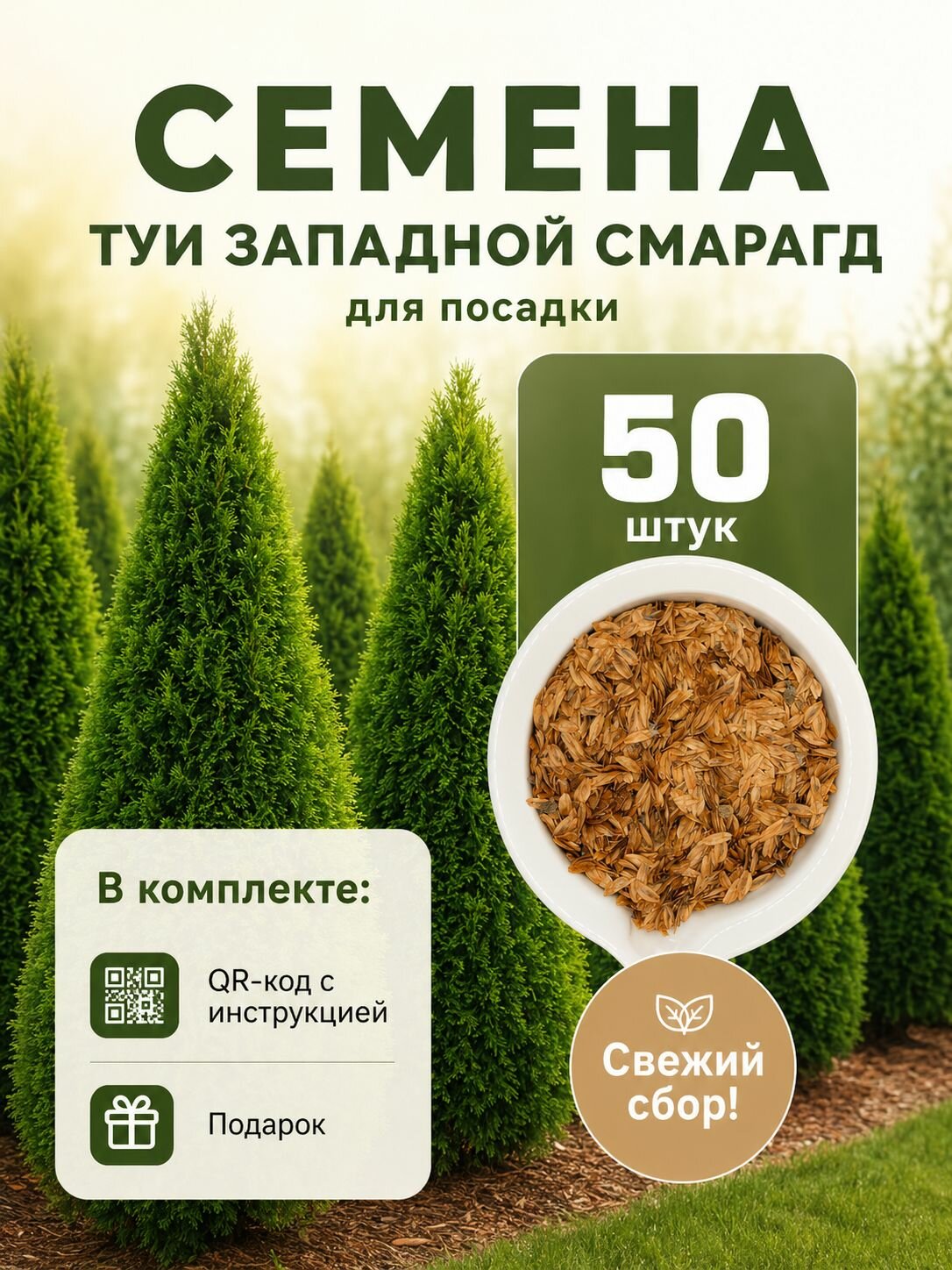 Семена Туи Смарагд, 50 шт