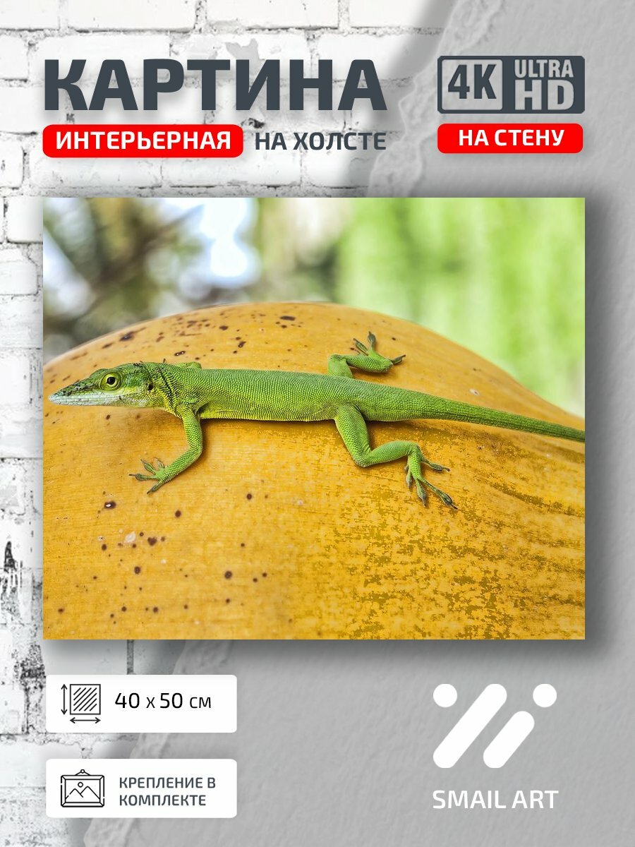 Картина на холсте интерьерная 40 на 50 на стену Ящерица Landscape для гостиной пейзаж декор