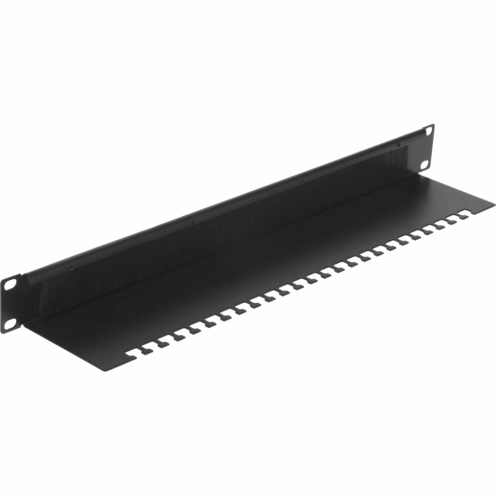 Кабельный органайзер 19 LANMASTER LAN-ORG/BPSB-1U c щеточным вводом, 2414384