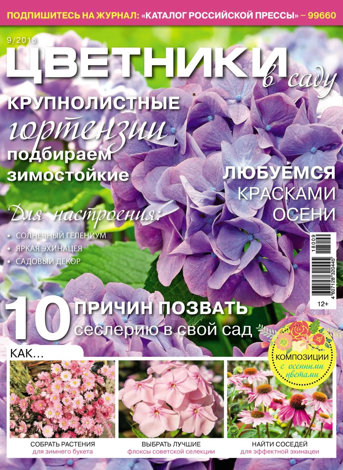 Цветники в саду №9/2018 [Цифровая книга]