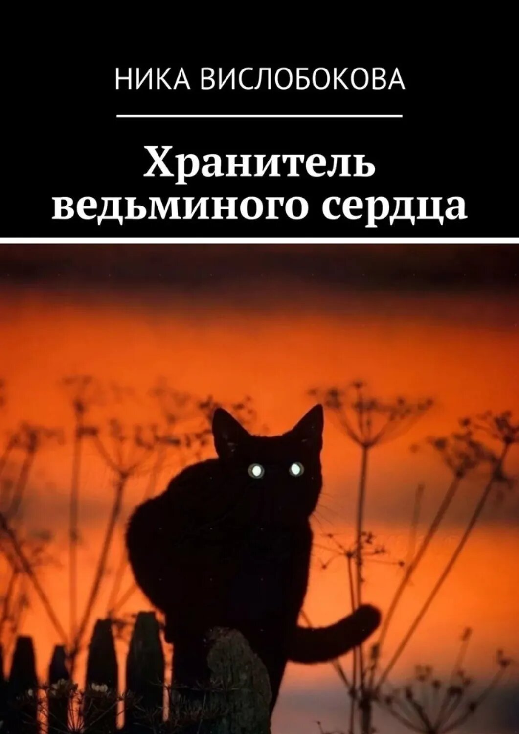 Хранитель ведьминого сердца [Цифровая книга]