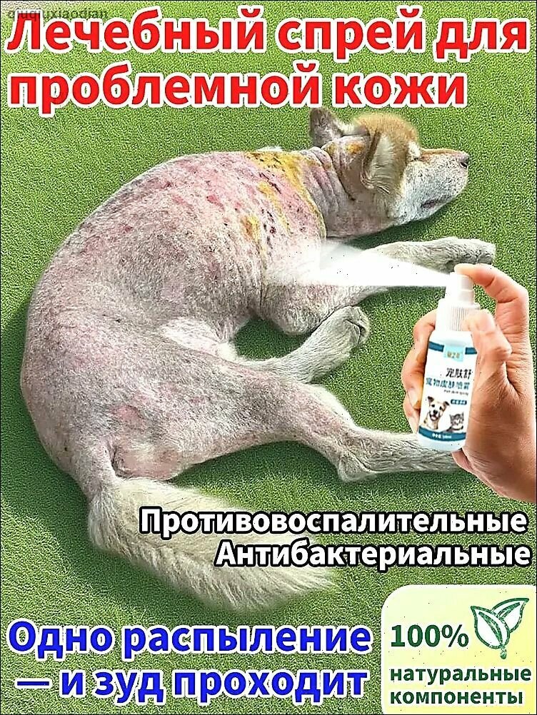 Косметика для животных