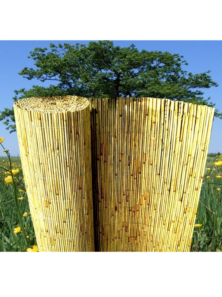 Забор из тростника 1х3м. рулонный