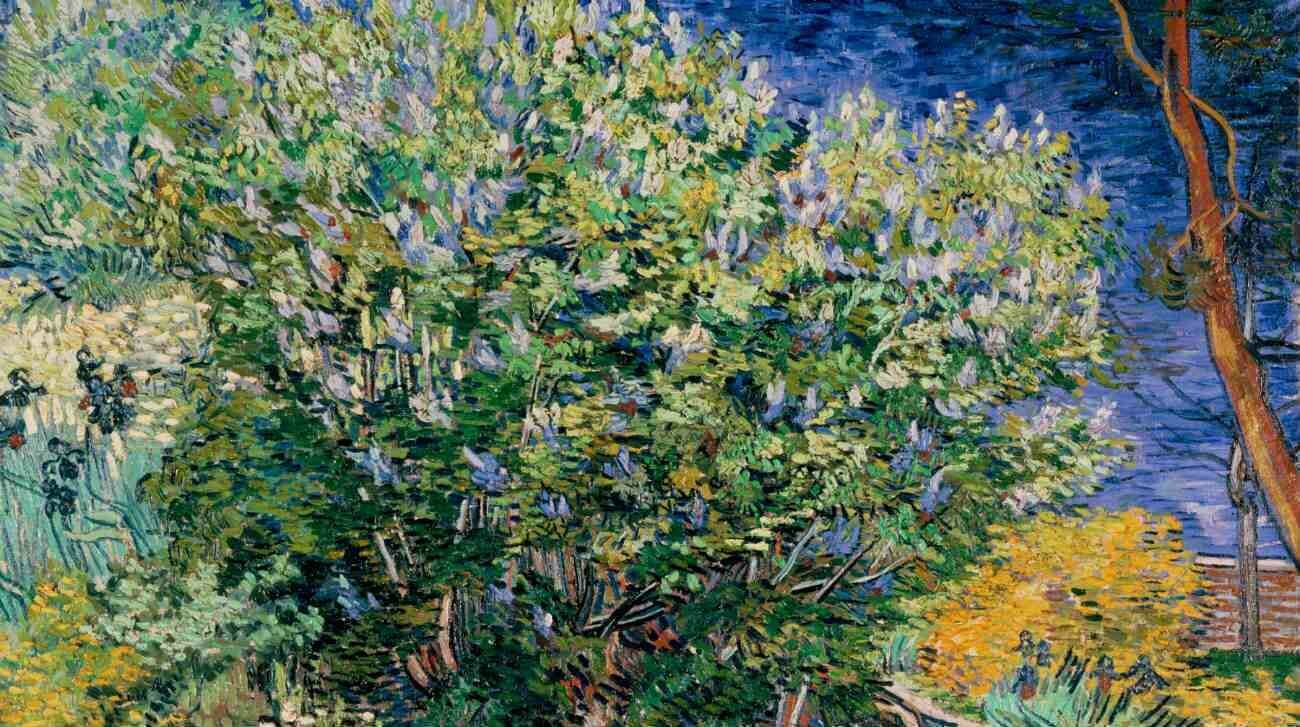 Картина на натуральном холсте , покрыта лаком 60*80 Ван Гог Куст сирени.