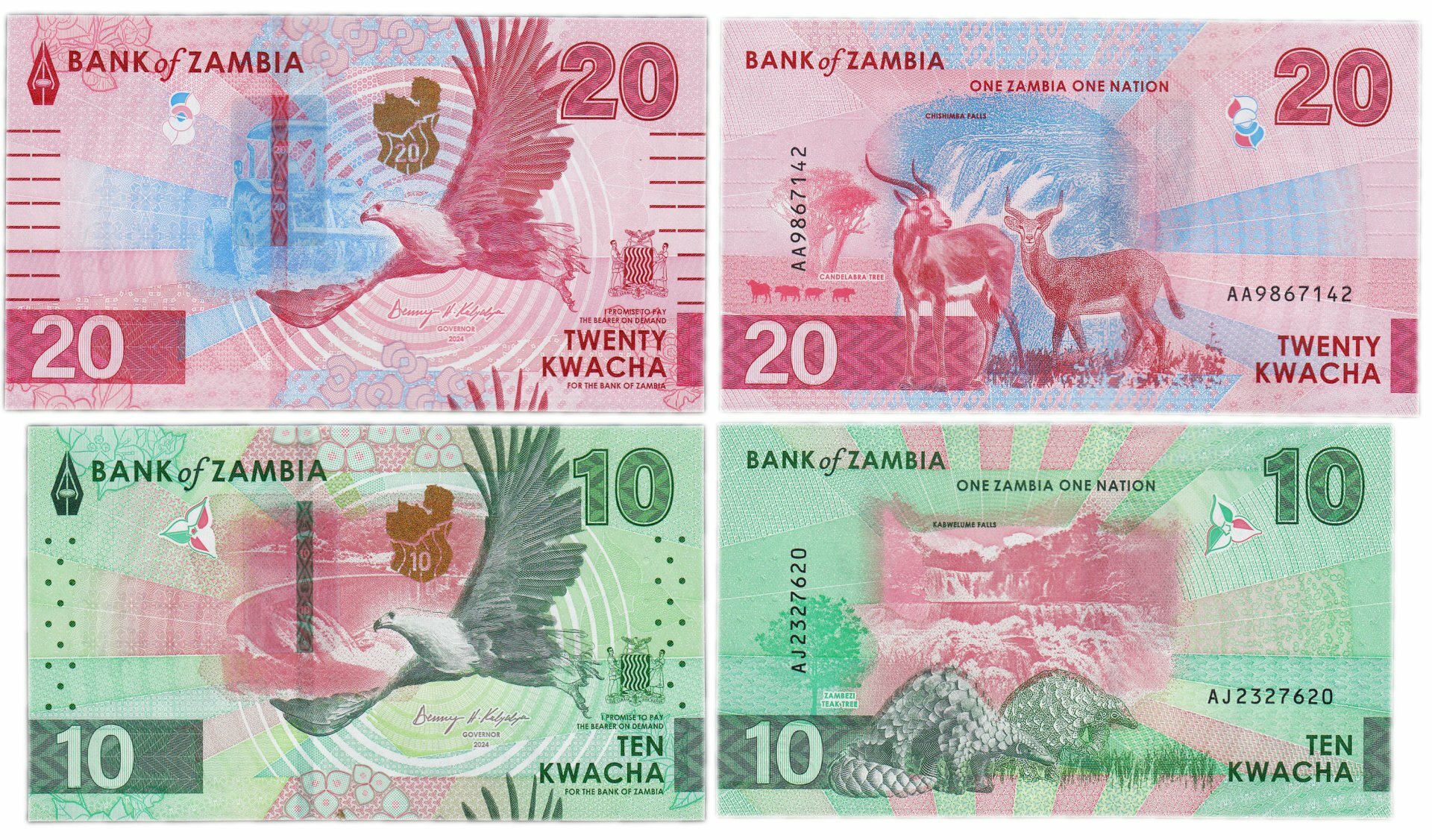 Замбия - набор 2 банкноты 10 + 20 квача 2024-2025 Фауна Pick 62, 63