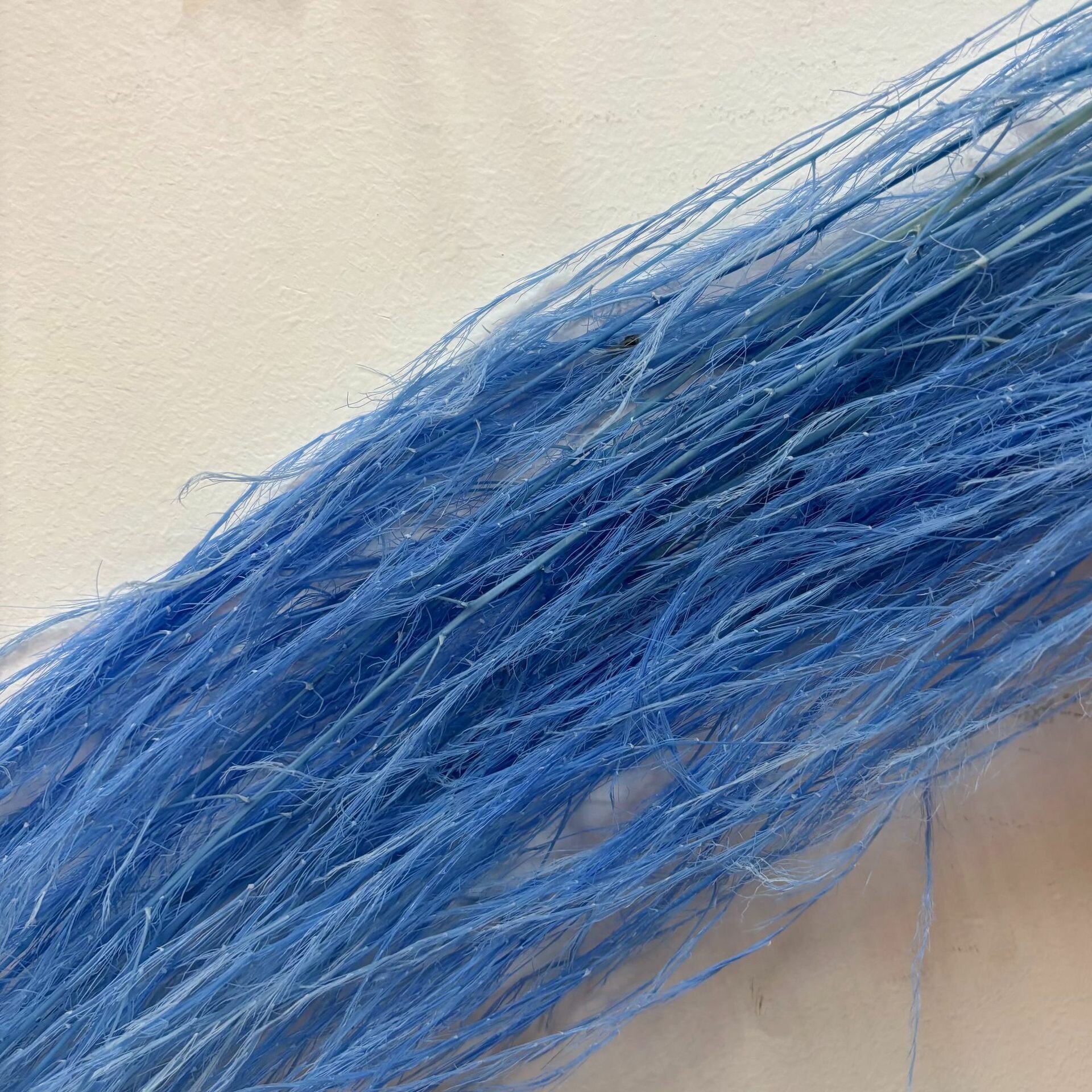 Драконья борода, трава, свадебное украшение, перьевая трава, фейерверки, букетные материалы, прямые продажи от фабрики, материалы для вечных цветов на День святого Валентина