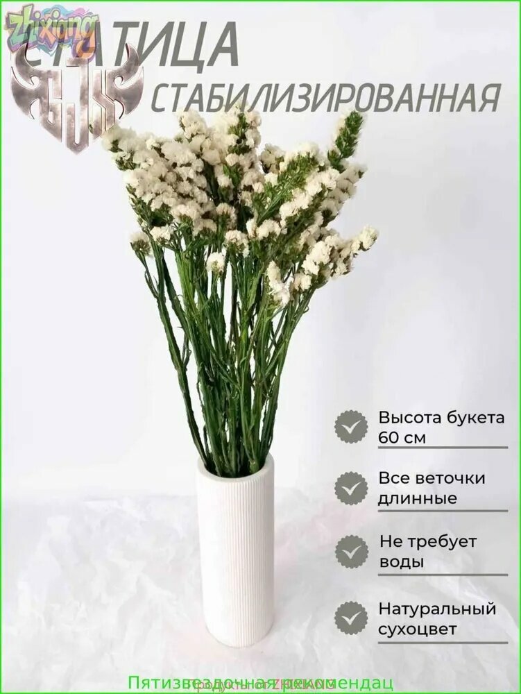 Сухоцветы Статица, 60 см