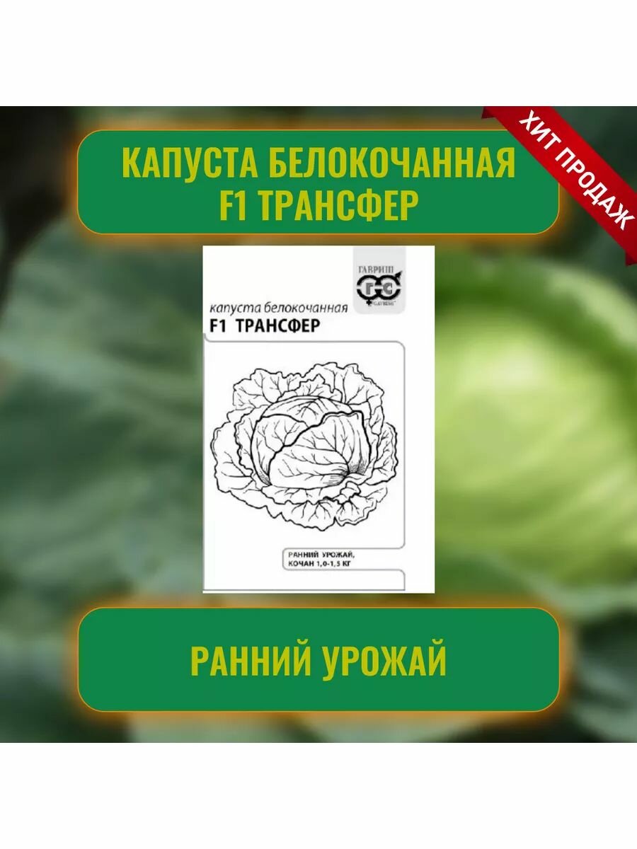 Капуста Трансфер F1 Б/К бел. п 0,1г Гавриш