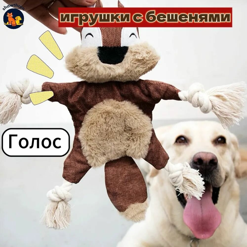 Мягкая, шуршащая игрушка для собак "Белка" с пищалкой. Интерактивная игрушка с канатом для здоровья клыков и десен собак.