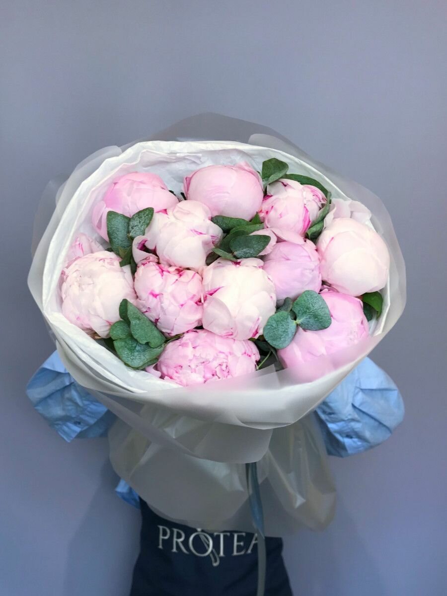 Букет пионов "Сара бернар" с эвкалиптом 11 шт. PROTEA- Студия Цветов