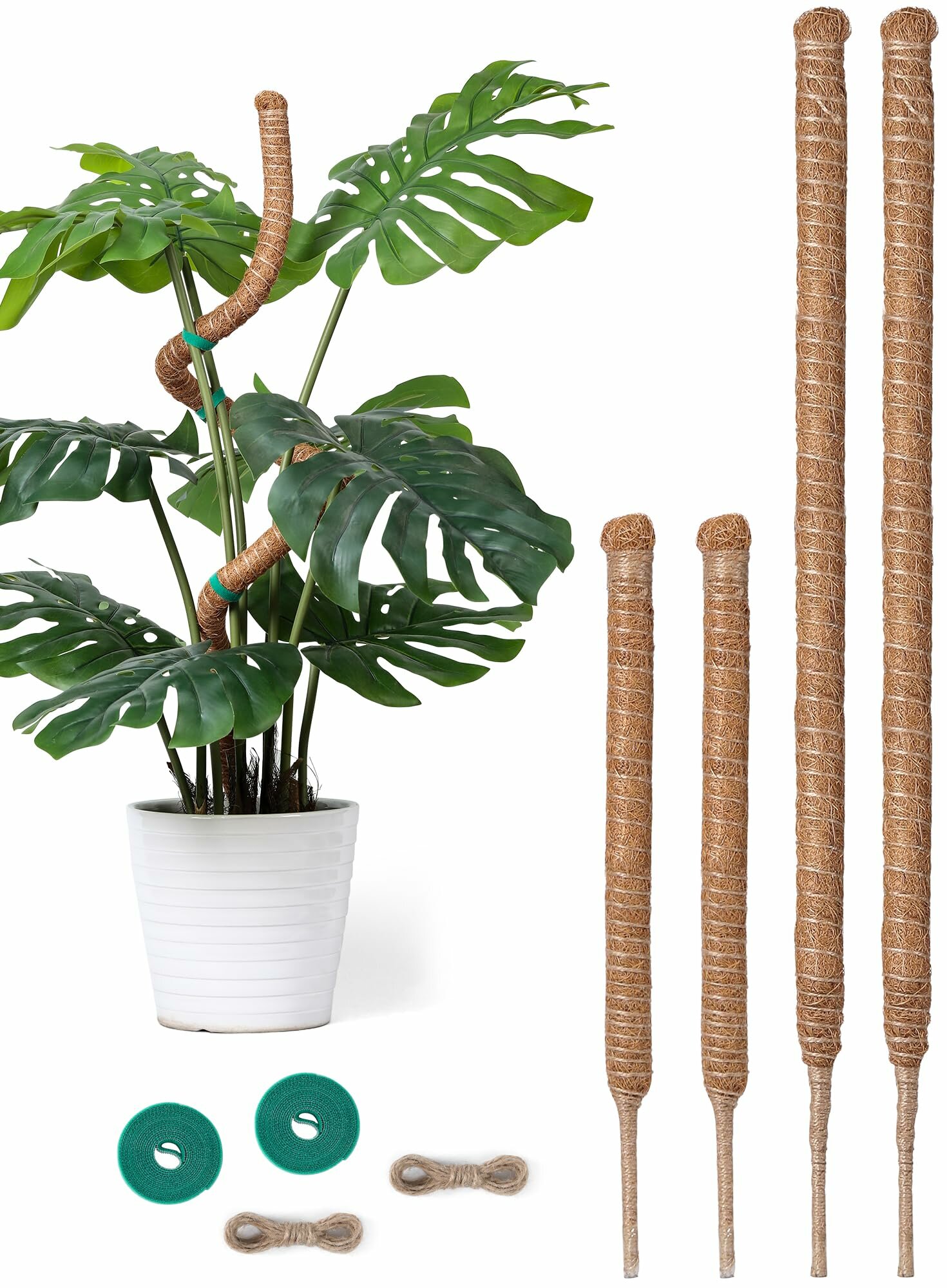 Стойки Для Монстеры: 2 Штуки 71 см И 2 Штуки 122 см Надёжная Опора Для Лиан - Экологичные Опоры Из Кокосового Волокна Для Вьющихся Растений For Домашнего Озеленения И Декора