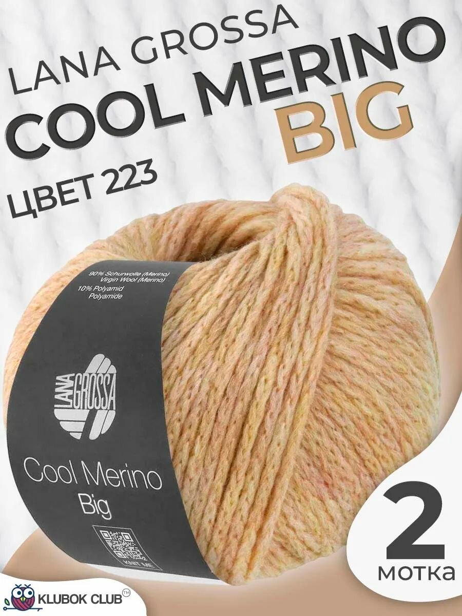 Пряжа для вязания Lana Grossa Cool Merino Big шнурок, цвет 223, 2 мотка