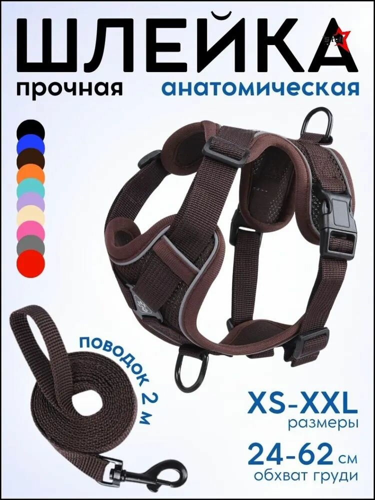 Эксклюзивная амуниция для выгула