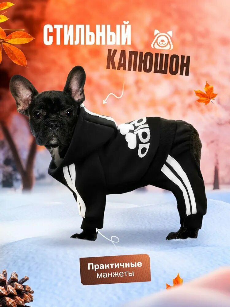 Комбинезон для собак и кошек