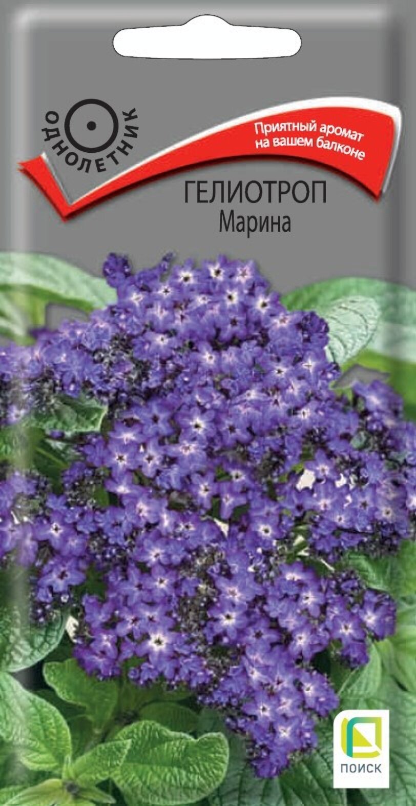 Семена цветов Поиск гелиотроп Марина, для дачи, сада, огорода и на рассаду