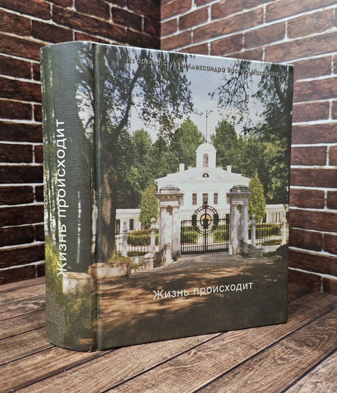 Жизнь происходит 2009 год